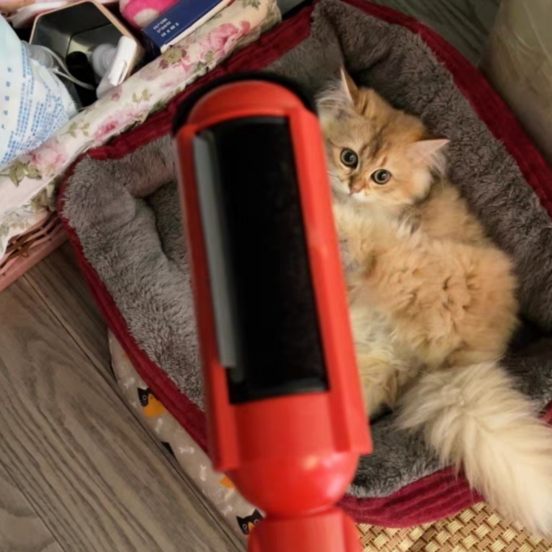 Awishday - Your Source for Meaningful Gifts. – awishday