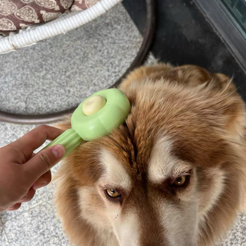 Awishday - Your Source for Meaningful Gifts. – awishday